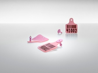 Smartrac Launches Cattle Ear Tag - a High-Performance RAIN RFID Product ...